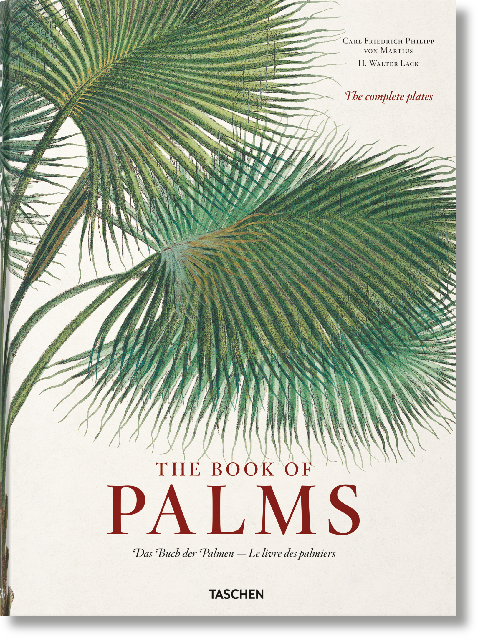 Martius. The Book of Palms (German, French, English) – ONEDERKAM